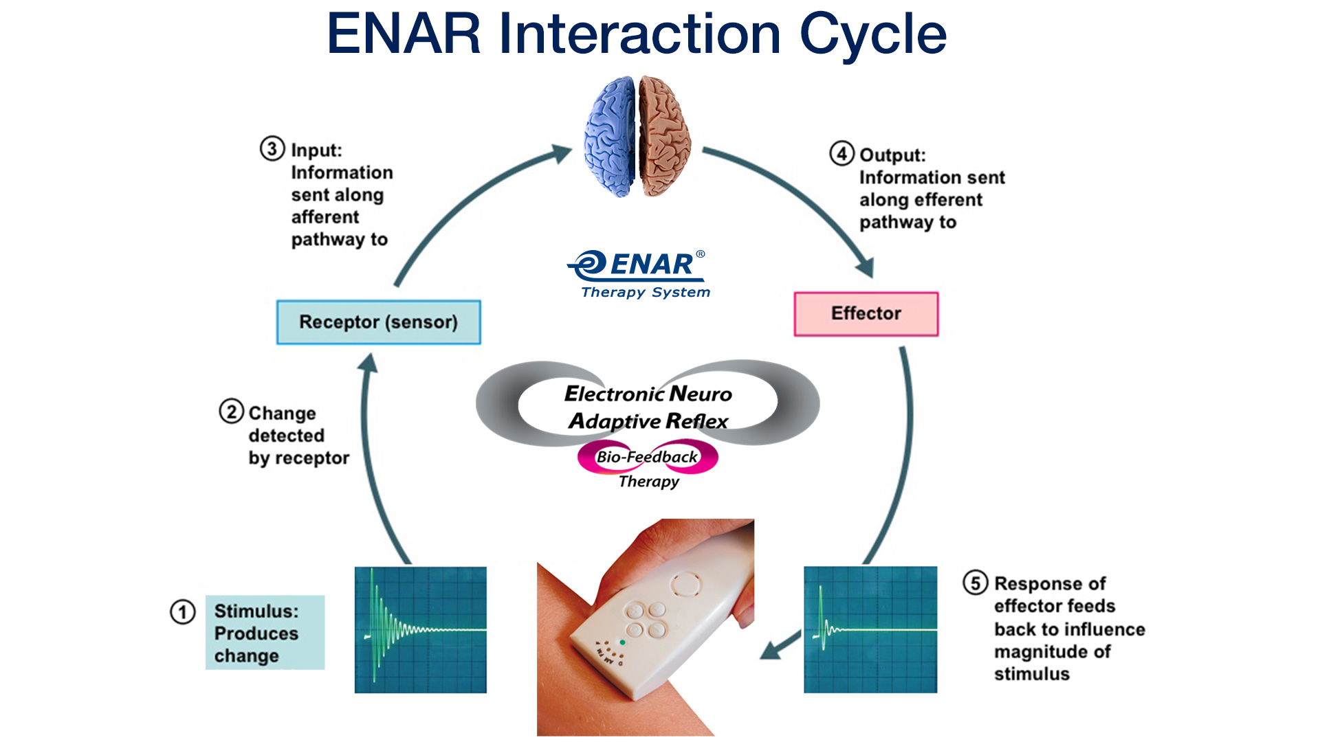 Physio - ENAR Device & ENAR Therapy